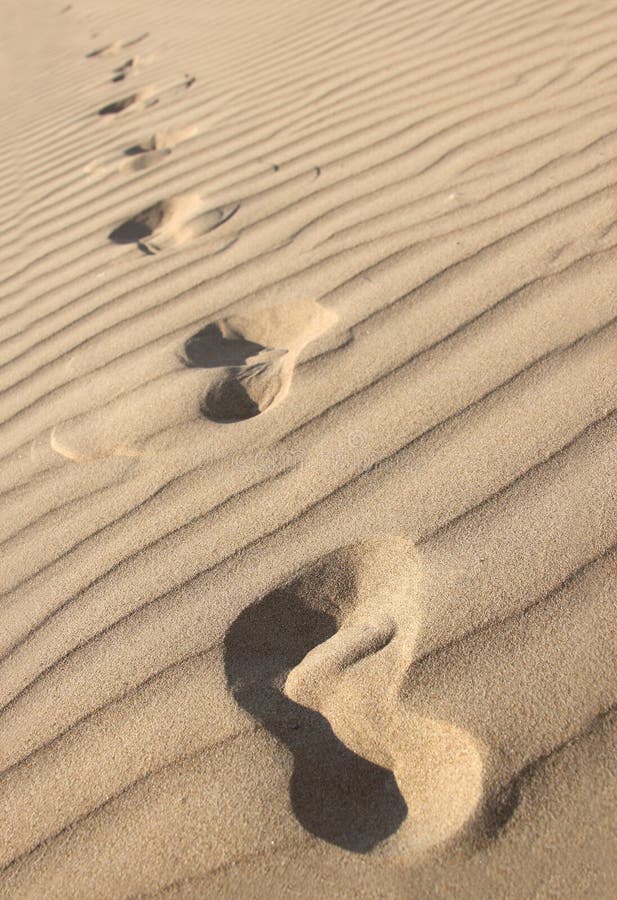 Footprints in a desert stock image. Image of escape, landscapes - 59706147
