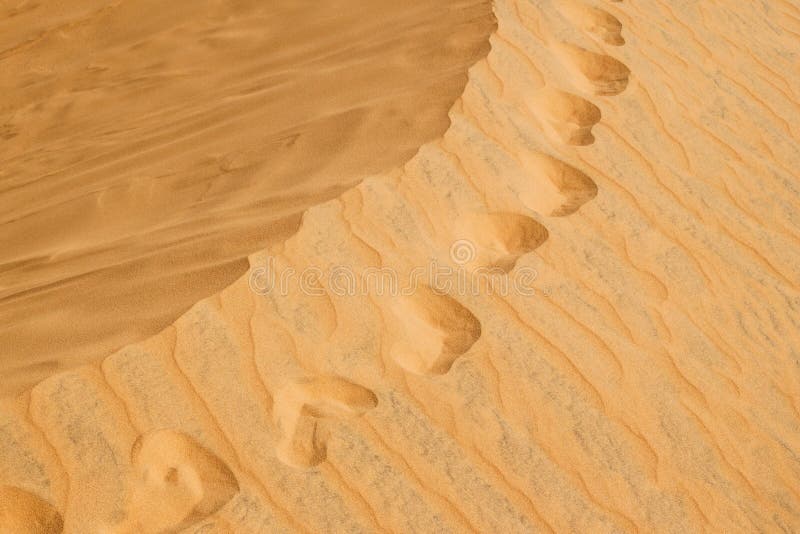Footprints on desert stock image. Image of outdoor, single - 4989913
