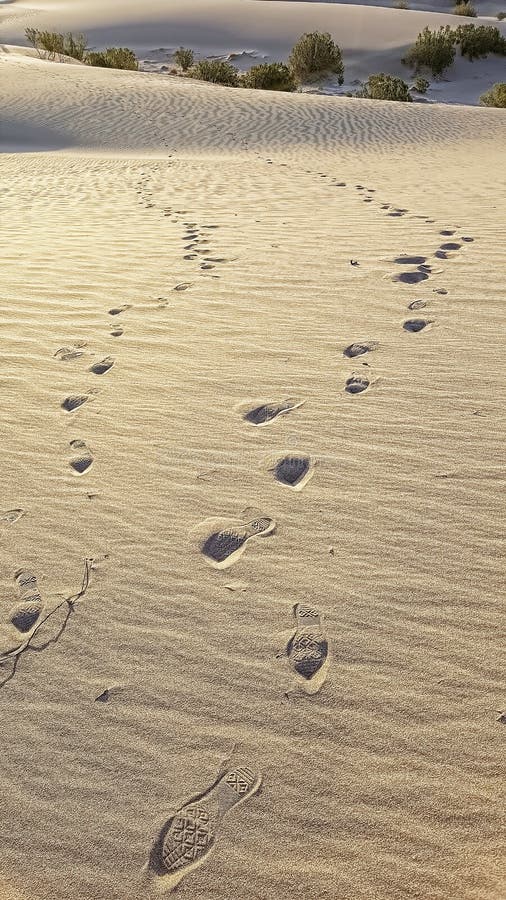 Footprints in Desert Sand stock image. Image of desert - 55385903