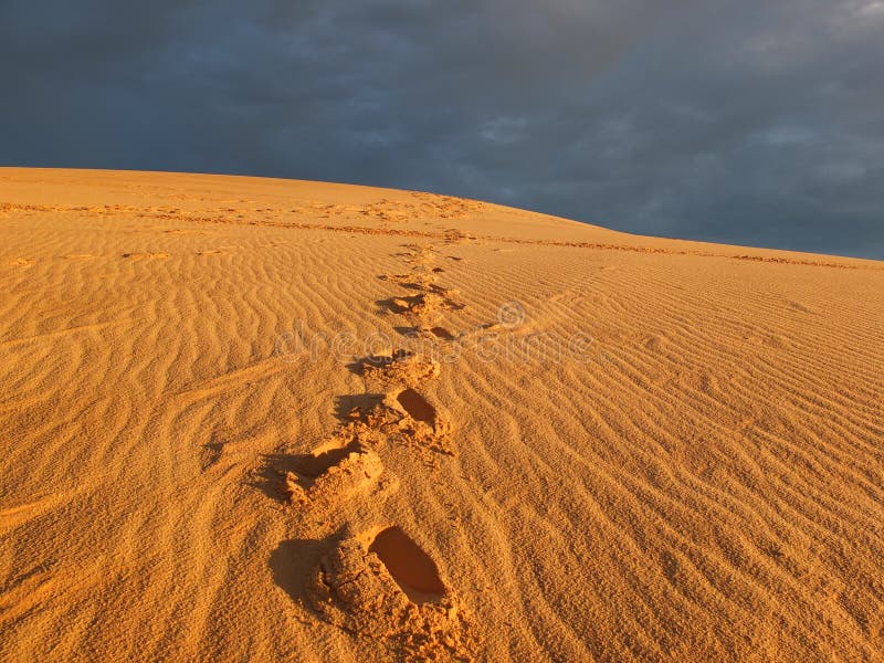 Footprints on Deserts stock photo. Image of curved, extreme - 34613626