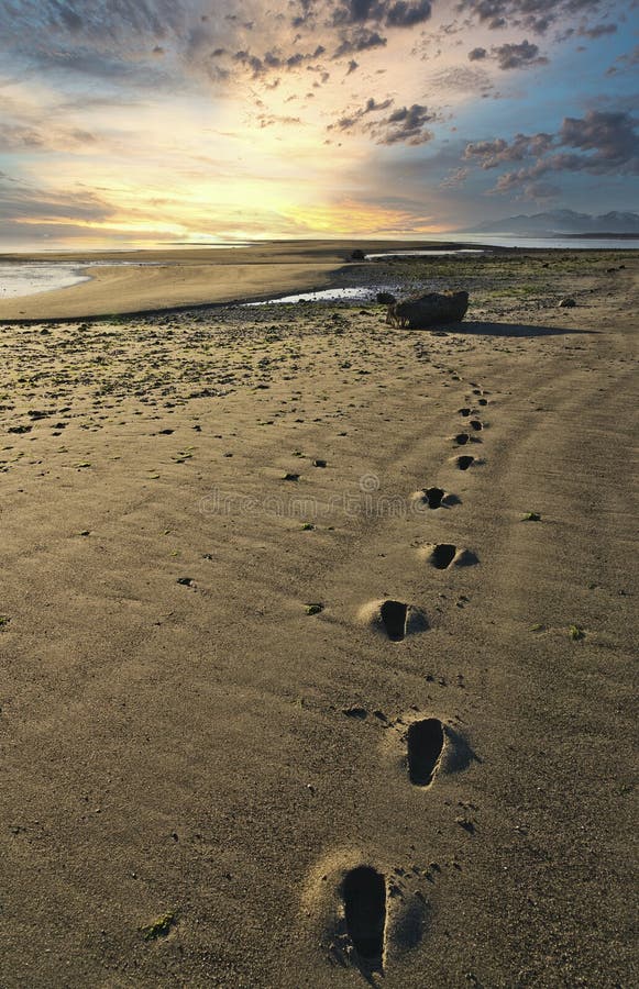 Footprints on an Empty Beach at Sunset Stock Photo - Image of peaceful ...