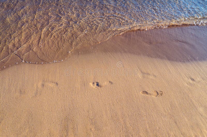 Footprints on a Empty Tropical Sandy Beach Stock Image - Image of empty ...