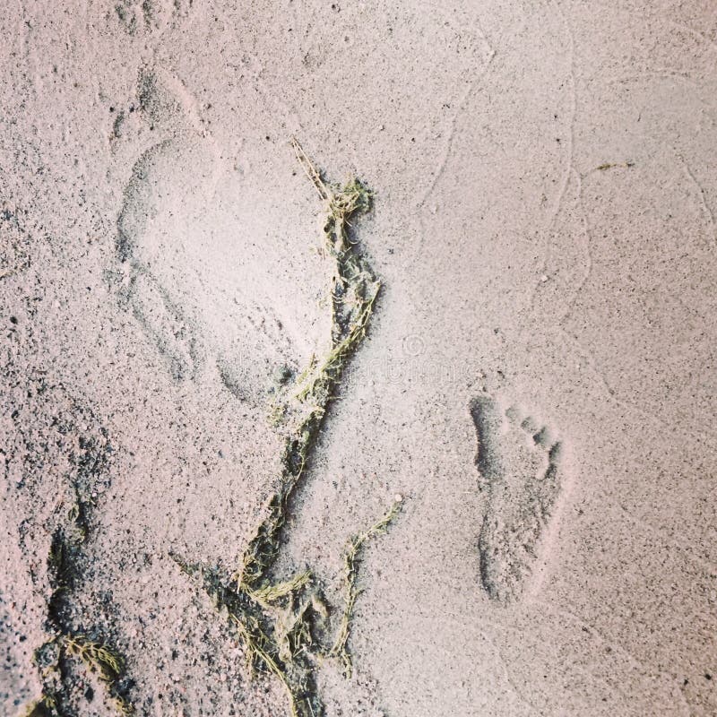 Footprints editorial photography. Image of beach, footprints - 61585872