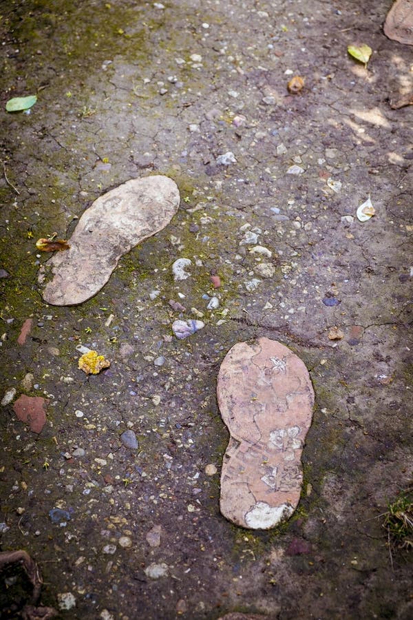 Footprints at the garden stock photo. Image of recreation - 87087078
