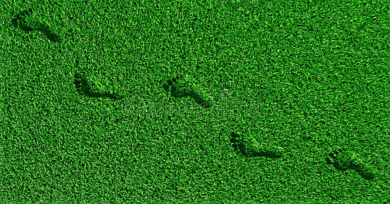 Footprints on the grass stock illustration. Illustration of ecological ...