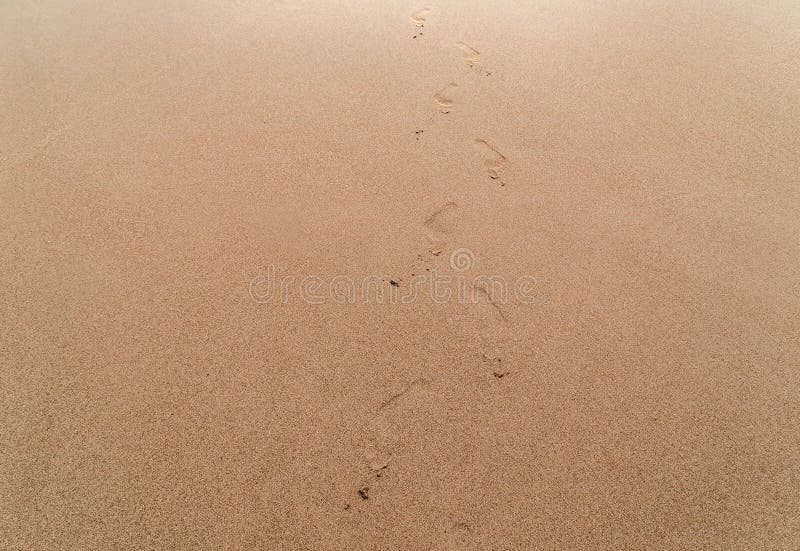 Footprints of Human Feet on the Sand Footstep Stock Photo - Image of ...