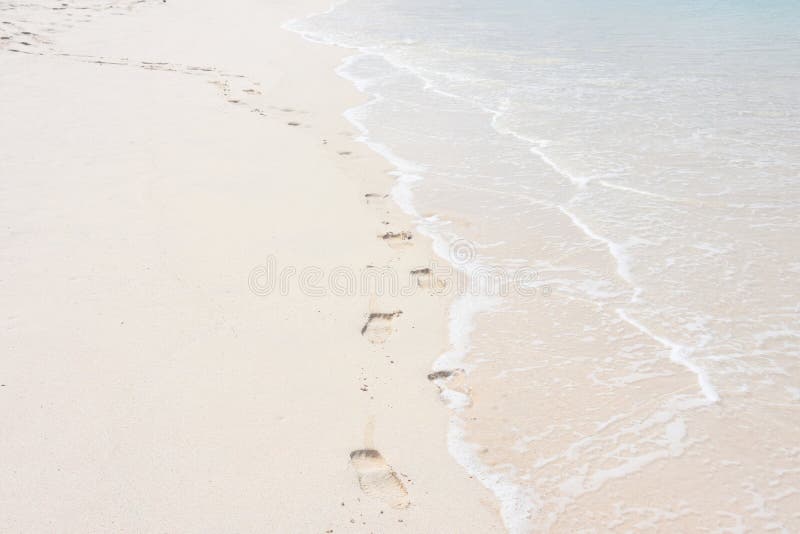 Footsteps on a sandy beach stock photo. Image of footprint - 171345468