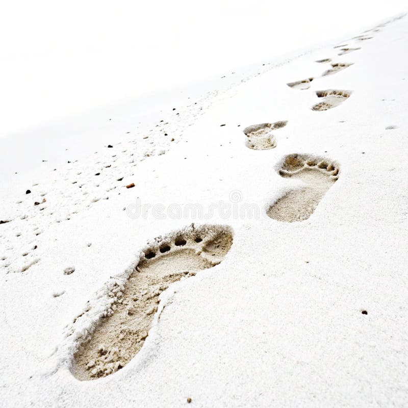 Footprints on Transparent Background Stock Illustration - Illustration ...