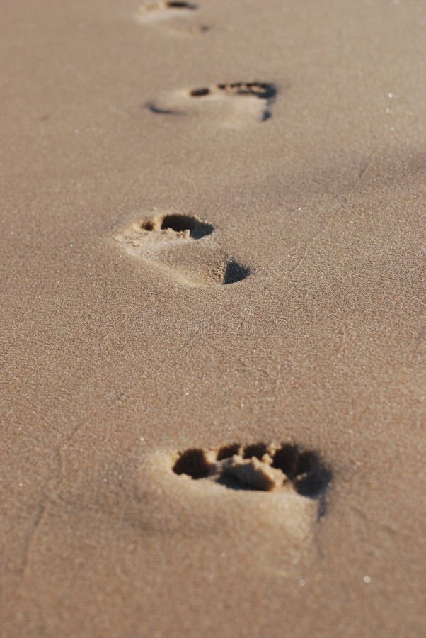 Footprints Left in the Sand Stock Image - Image of trace, toes: 191442637