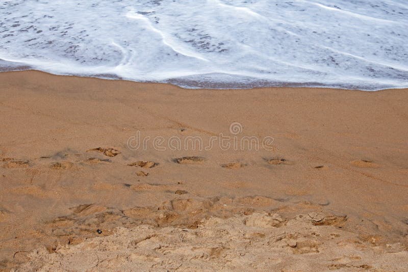 EDGE of WAVE on WET SAND on BEACH Stock Photo - Image of wavelets, edge ...