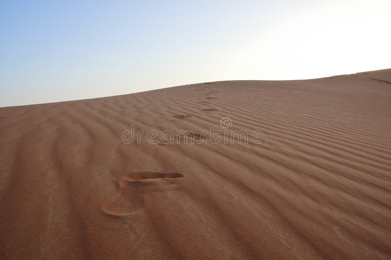 Footprint Marks on the Sand Dunes in the Desert Stock Photo - Image of ...