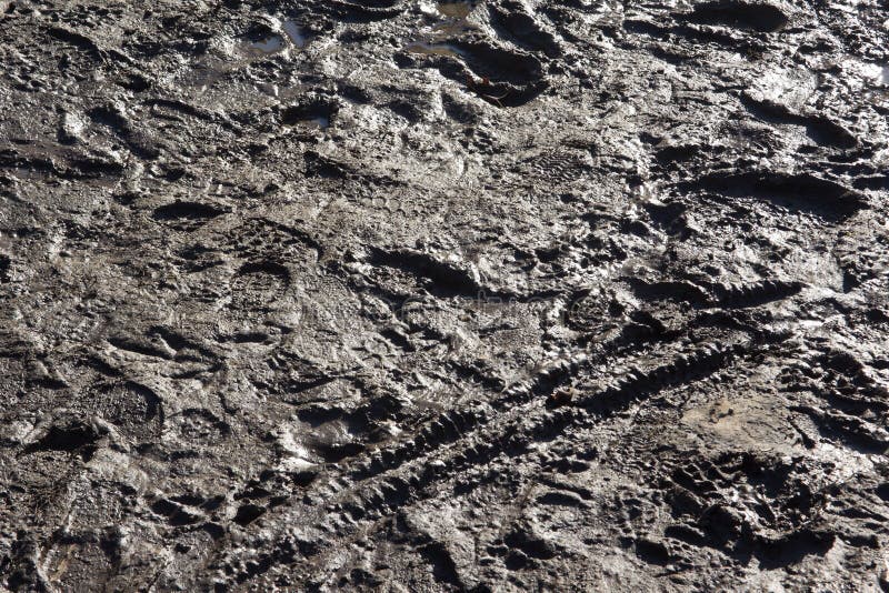 Footprints in the Mud stock photo. Image of foot, defrost - 26214976