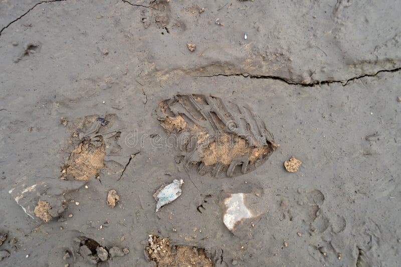 Footprints in mud stock photo. Image of wheels, small - 67602262