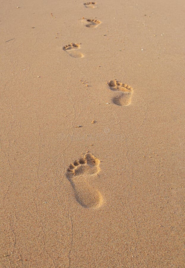 Footprints of One Human on Sand Beach Stock Image - Image of coastline ...