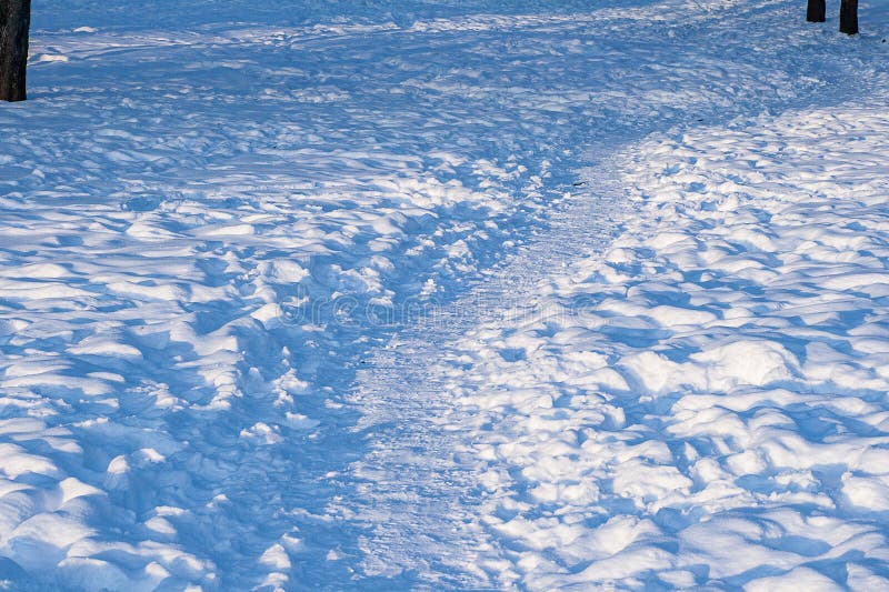 A Large Trodden Path in a Snowy Forest. Stock Image - Image of road ...