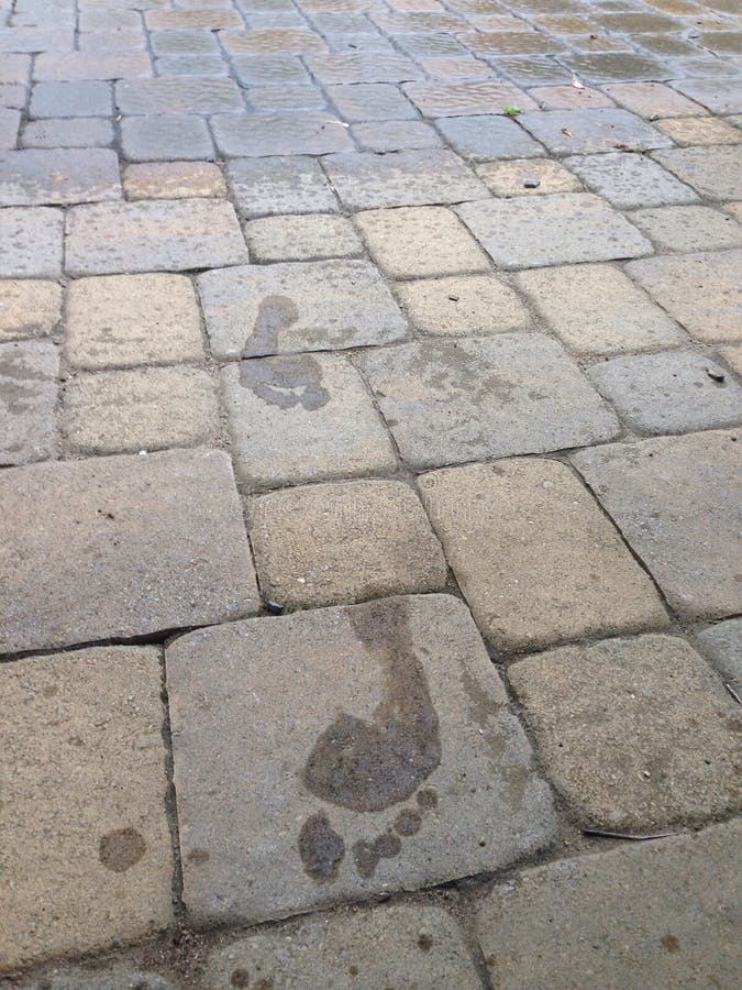 Footprints on the Pavent stock image. Image of pavent - 56415907