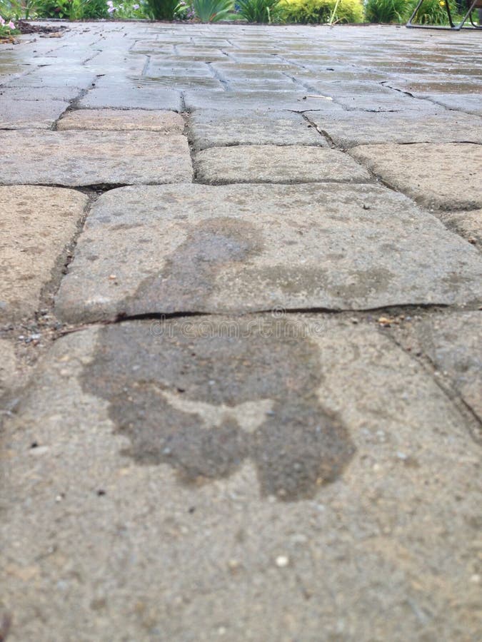 Footprints Pavent Stock Photos - Free & Royalty-Free Stock Photos from ...