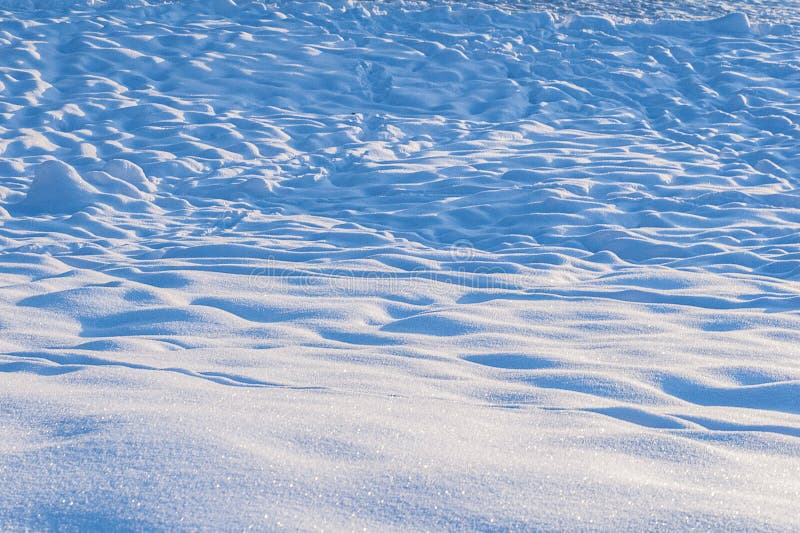 Footprints and Paw Prints in the Snow. Stock Photo - Image of field ...