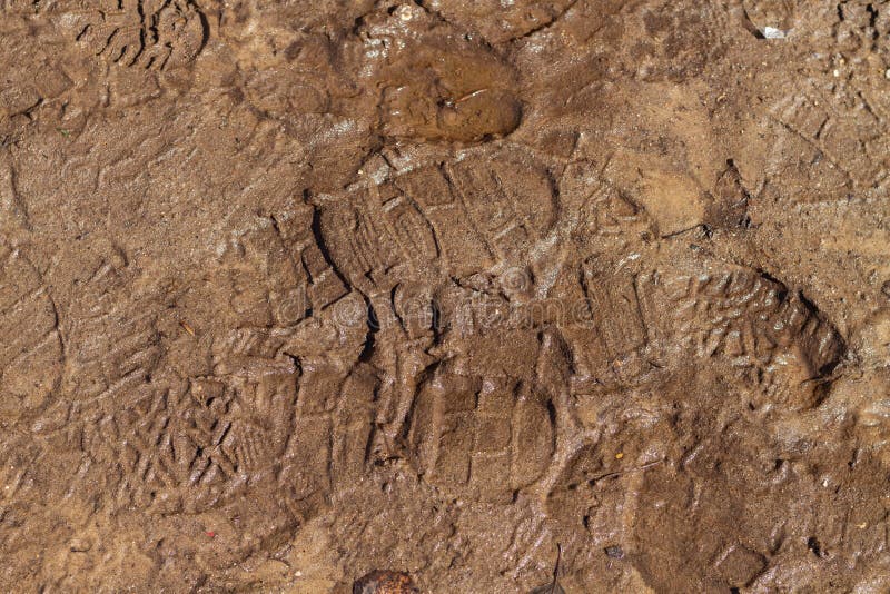 Footprints Mud Pathway Stock Photos - Free & Royalty-Free Stock Photos ...