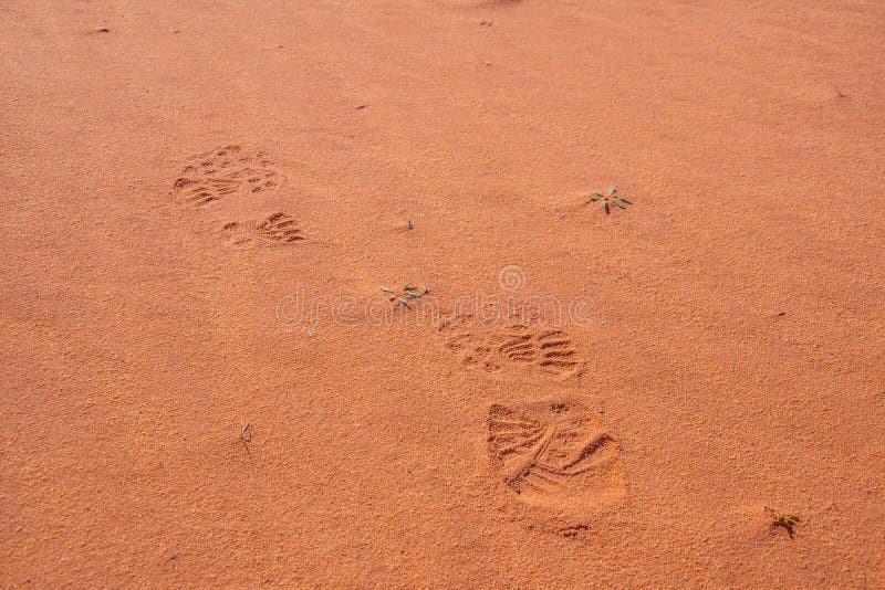 Footprints at Red Sand of Wadi Rum, Jordan Stock Photo - Image of ...