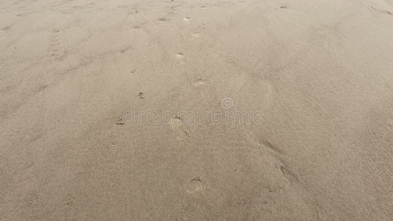 Footprints in the Sand Shoe Print Stock Photo - Image of rock, tile ...