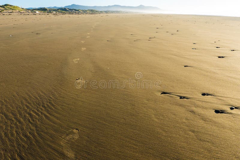 Footprints from Runner on Beach in Hard Sand Stock Photo - Image of ...