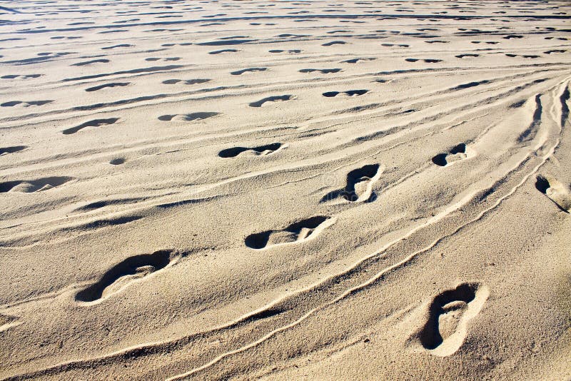 Sandy Beach - Multiple Footprints in Rows Receding Stock Image - Image ...