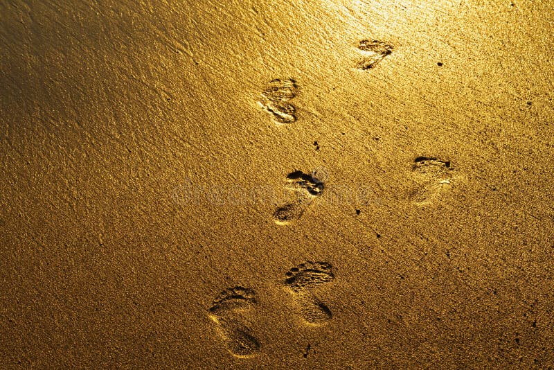 Golden footprints in sand stock photo. Image of prints - 185494542