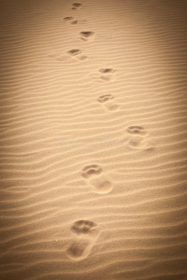 Footprints in the sand stock photo. Image of wave, path - 18641700