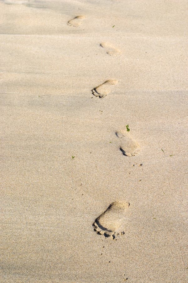 Footprints Free Stock Photos & Pictures, Footprints Royalty-Free and ...