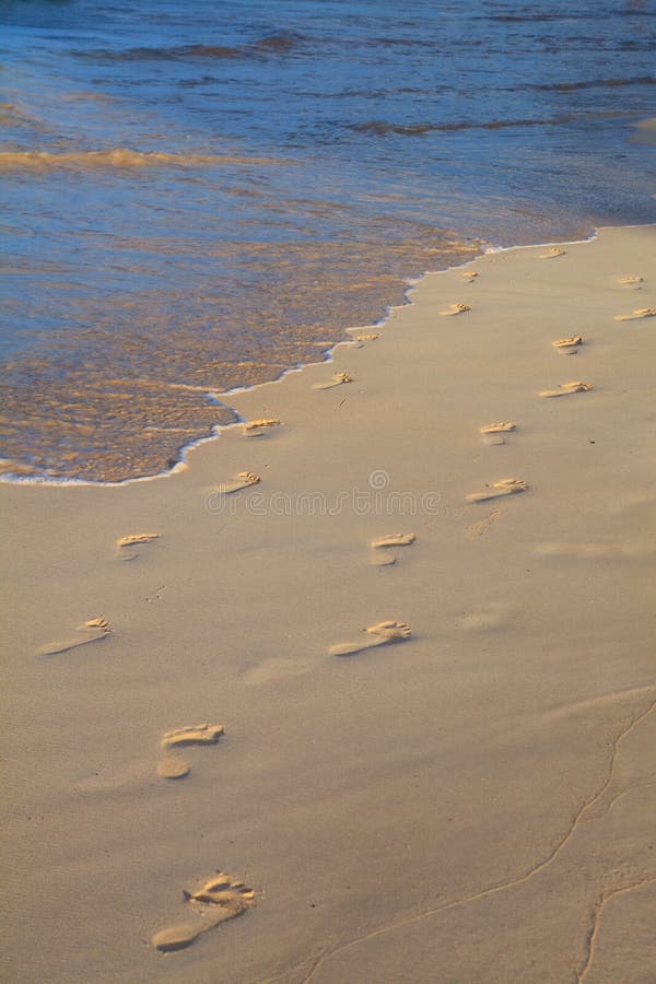 Two Sets Of Footprints On A Pacific Beach Stock Photo - Image of ...