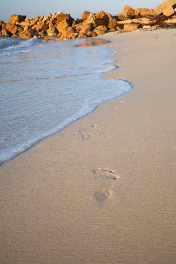 Sandy Footprints stock image. Image of summer, ocean, beach - 206779
