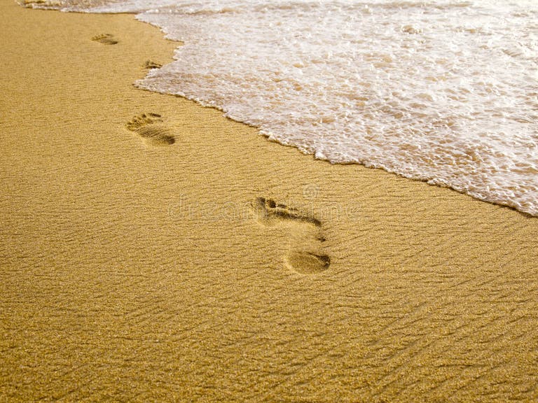 Footprints stock image. Image of relax, tree, spum, sand - 39593215