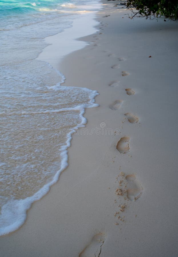 Footprints in Sand on Beach. Sunny Weather Stock Image - Image of coast ...