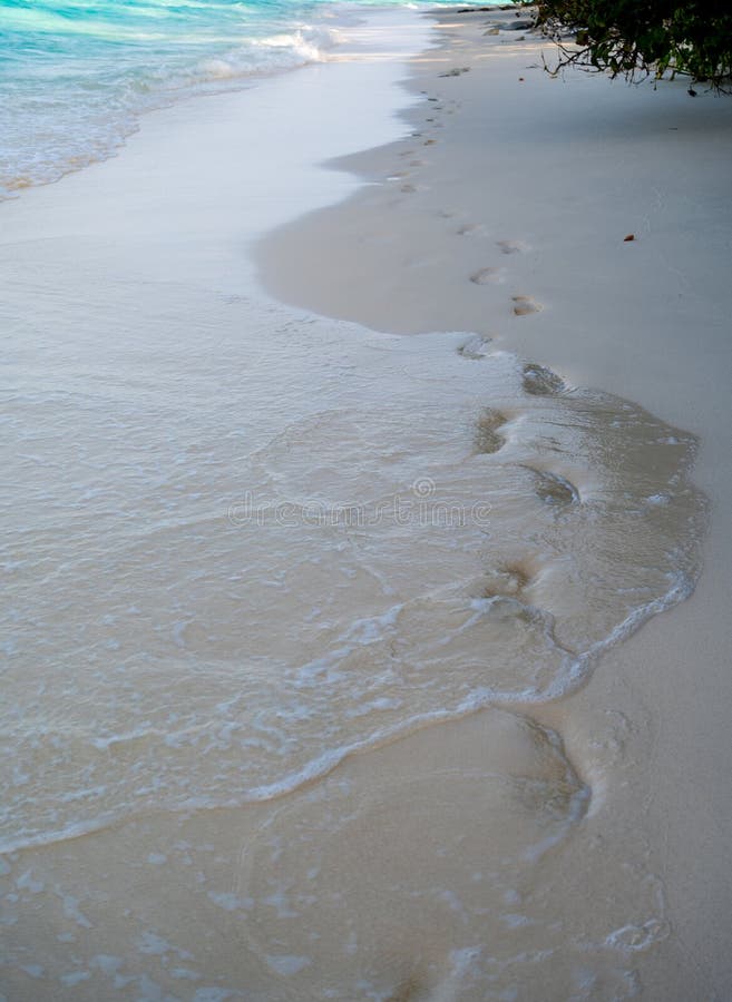 Footprints in Sand on Beach. Sunny Weather Stock Image - Image of shore ...