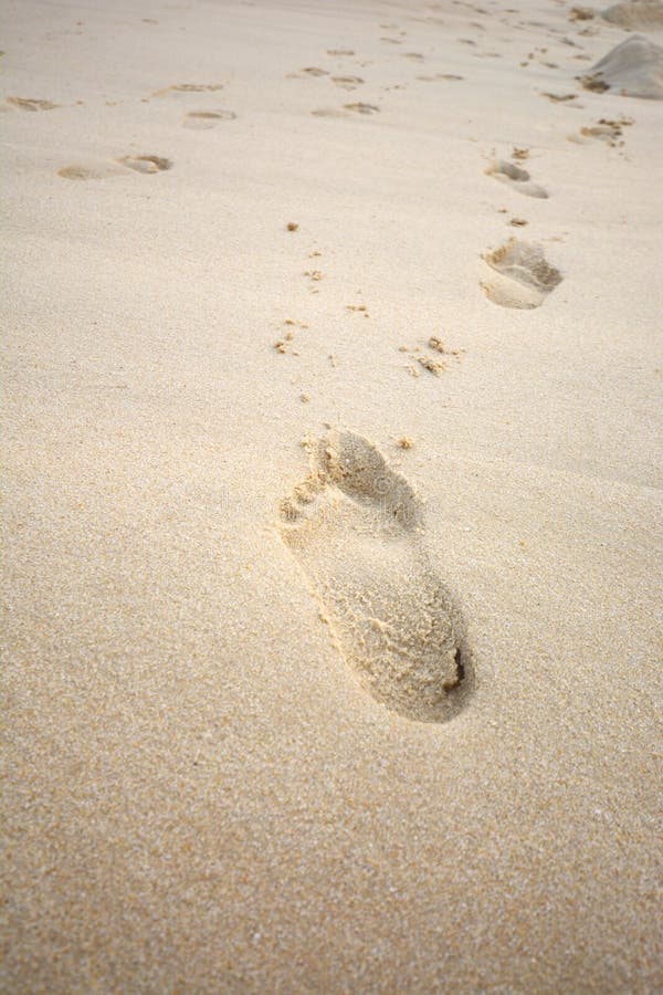 454 Three Footprints Stock Photos - Free & Royalty-Free Stock Photos ...