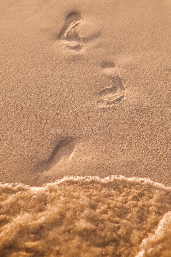 Footprint in the desert stock photo. Image of fitness - 14890232