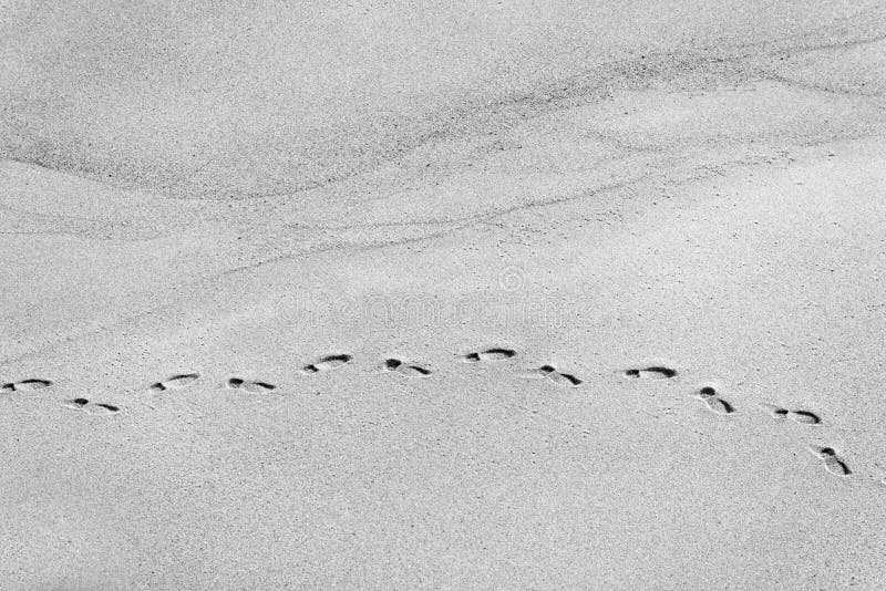 Footprints in the Sand stock image. Image of recreational - 49533179