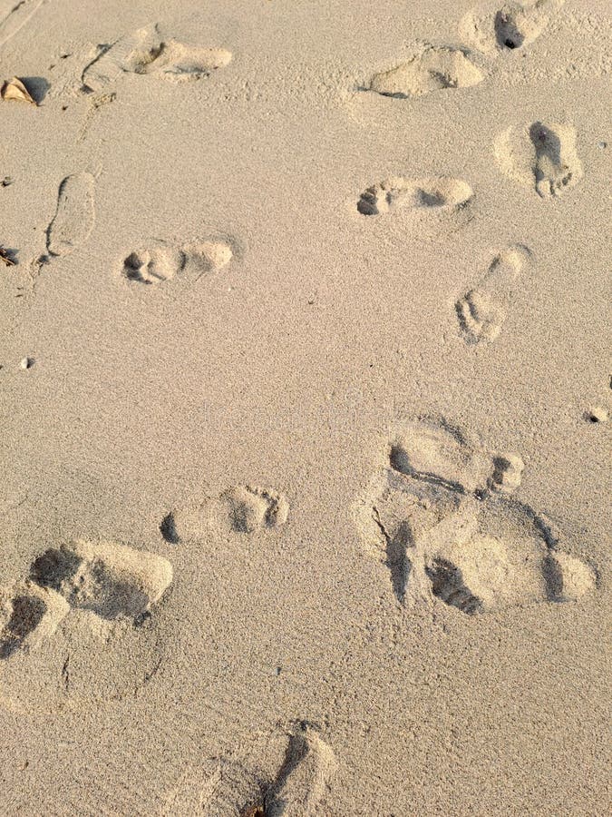 Footprints on the sand stock image. Image of travel - 359509005