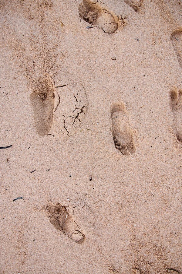Footprints on the Sand of the Ocean, Texture for a Layout Stock Photo ...