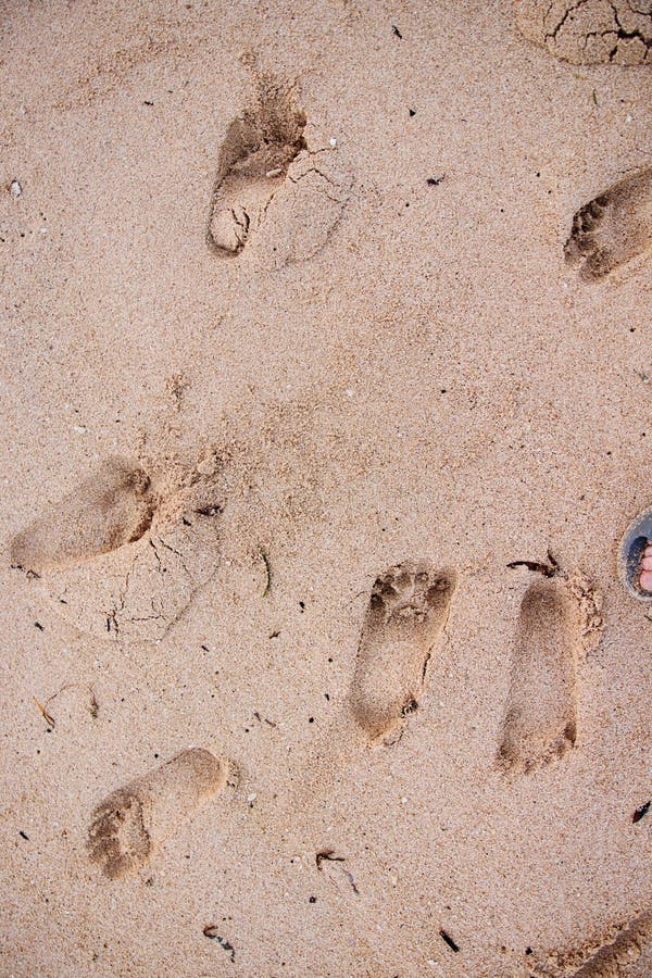 Footprints on the Sand of the Ocean, Texture for a Layout Stock Image ...