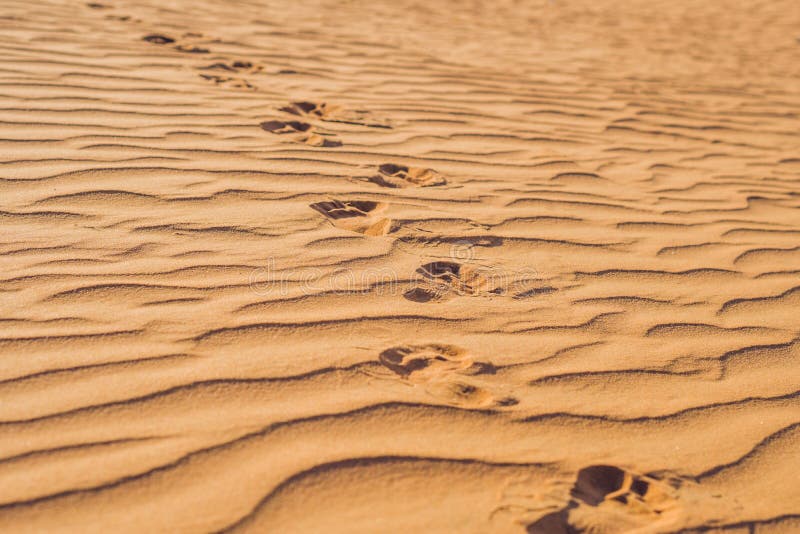 Footprints in the Sand in the Red Desert at Sunrise Stock Image - Image ...