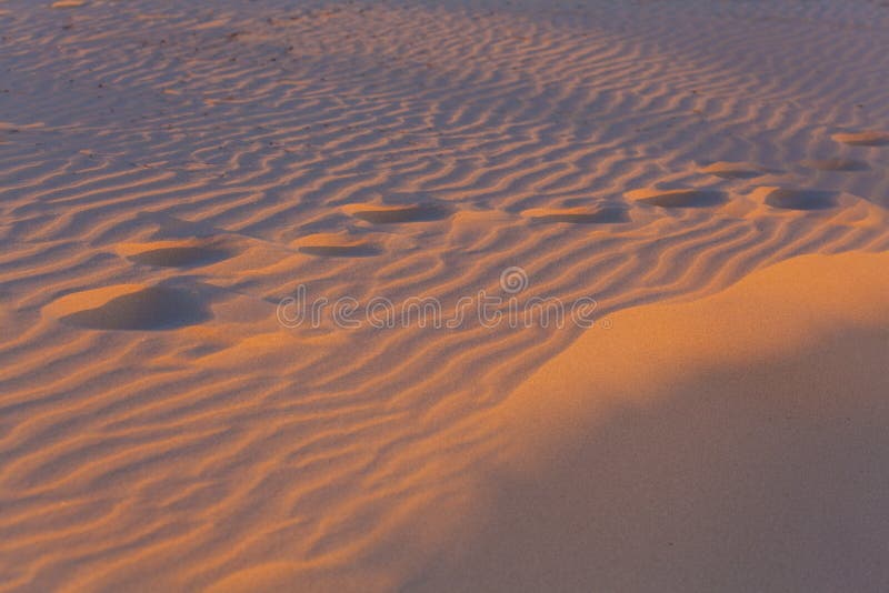 Footprints and Sand Ripples at Sunset. Stock Photo - Image of ecology ...