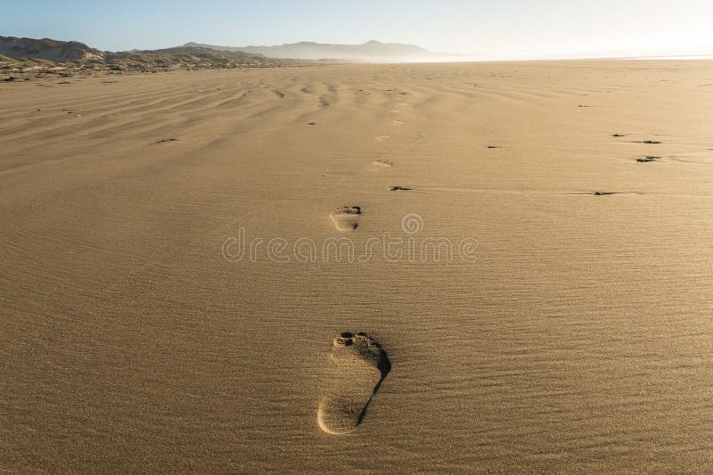 Footprints in the Sand from Runner on the Beach Stock Image - Image of ...