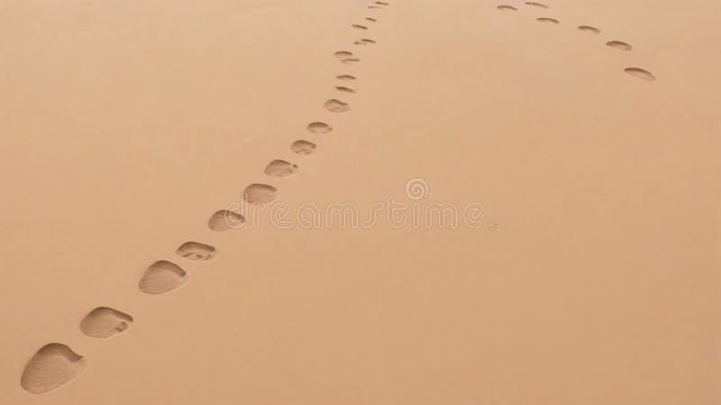 Footprints in the Sand, a Single Line of Footprints in the Desert Stock ...