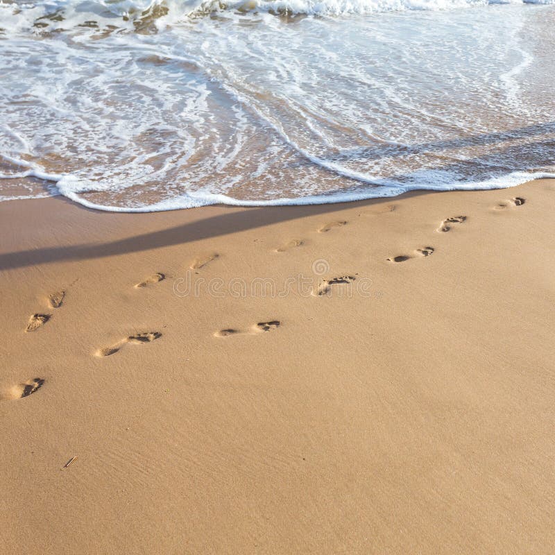Large Footprints through Snow Floor Outside Winter December Path Stock ...