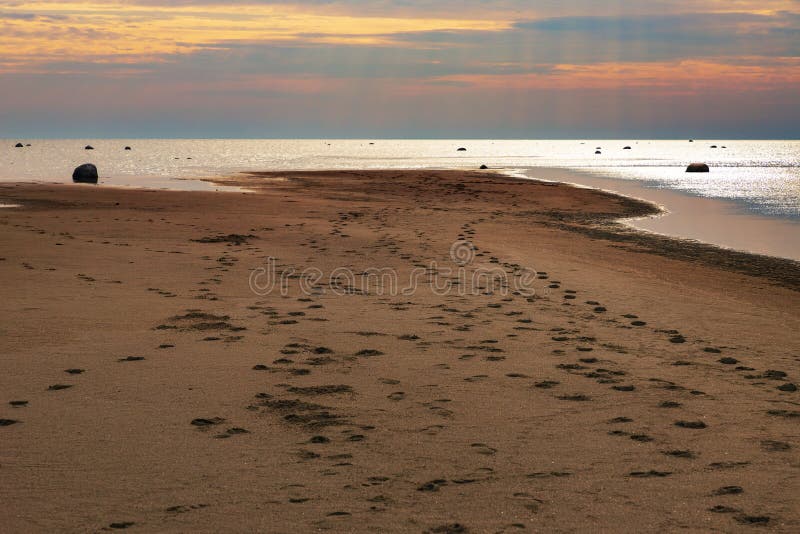 Footprints on the Sand Spit at Sunset Time on the Sea Stock Photo ...