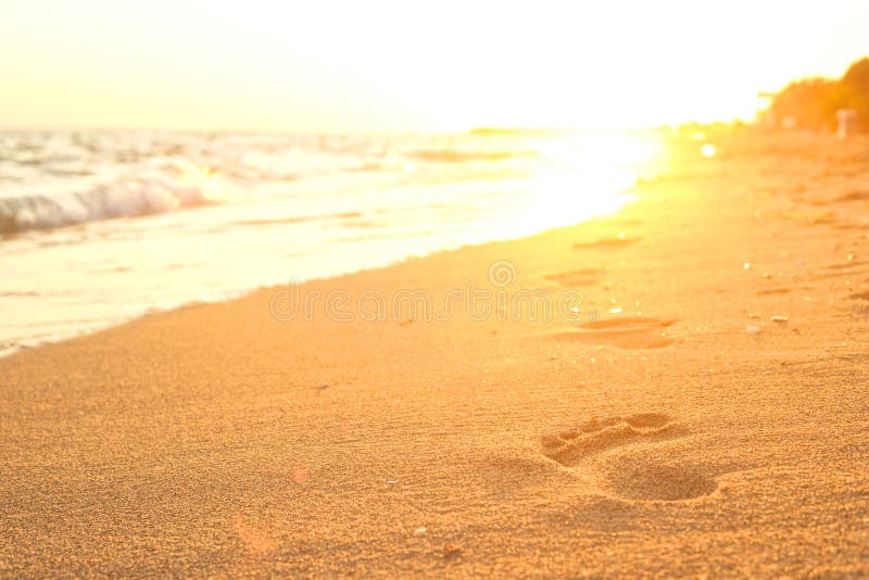 946 Gold Footprints Stock Photos - Free & Royalty-Free Stock Photos ...