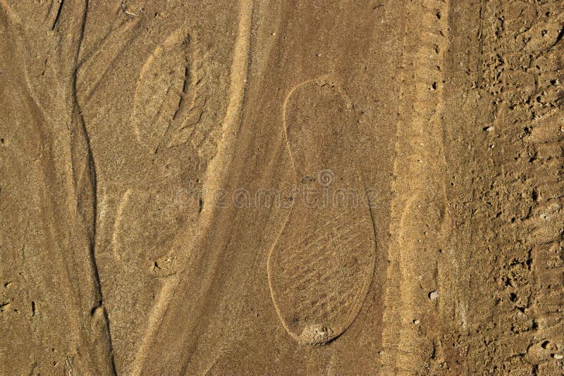 Footprints in the Sand. the Texture of the Sand Stock Image - Image of ...