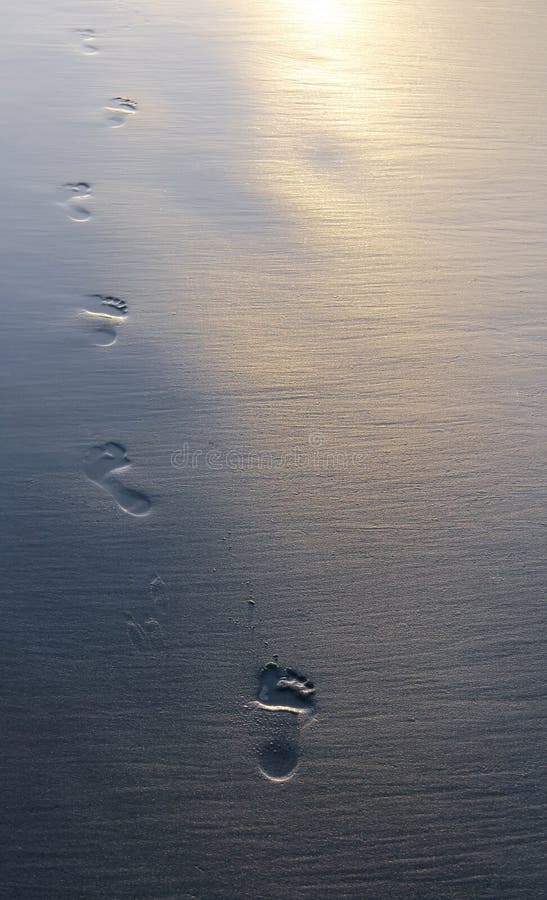 Footprints stock image. Image of reflection, human, beach - 37960319